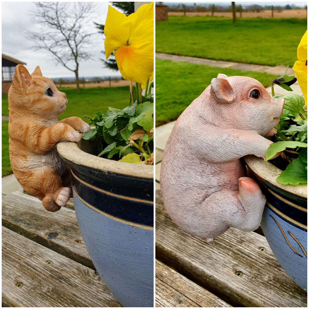 Plant Pot Pals – EllieGrey